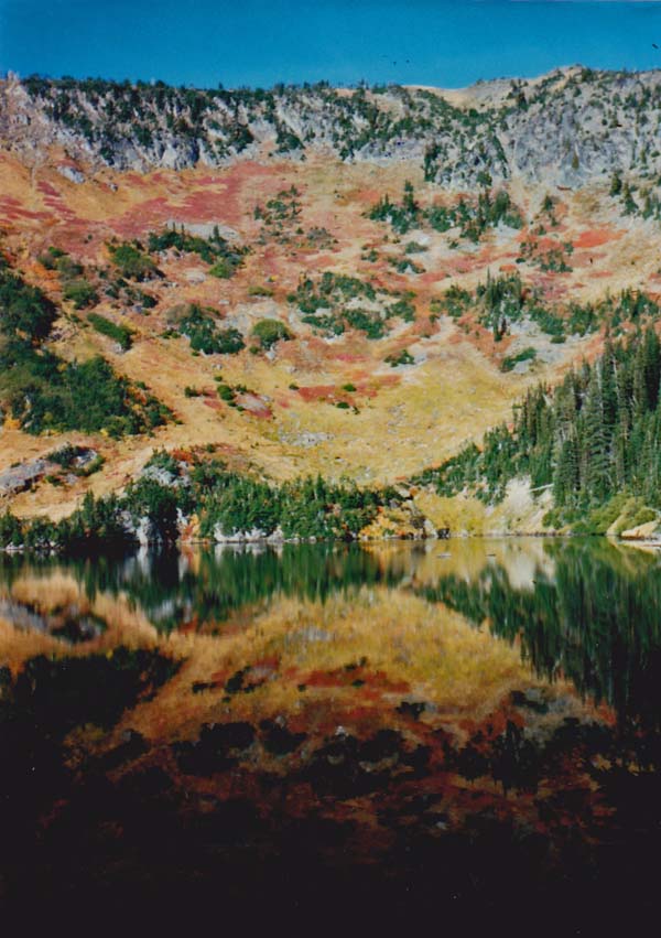 Ladybugs – Wild Sensibility