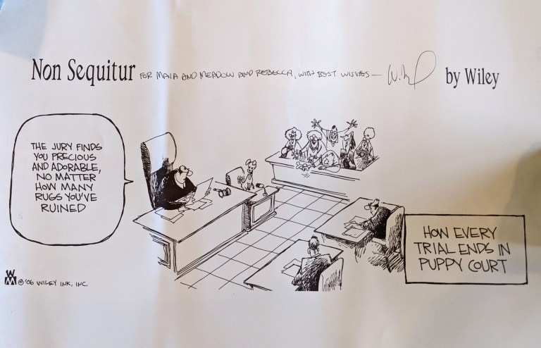 Non Sequitur – Wild Sensibility