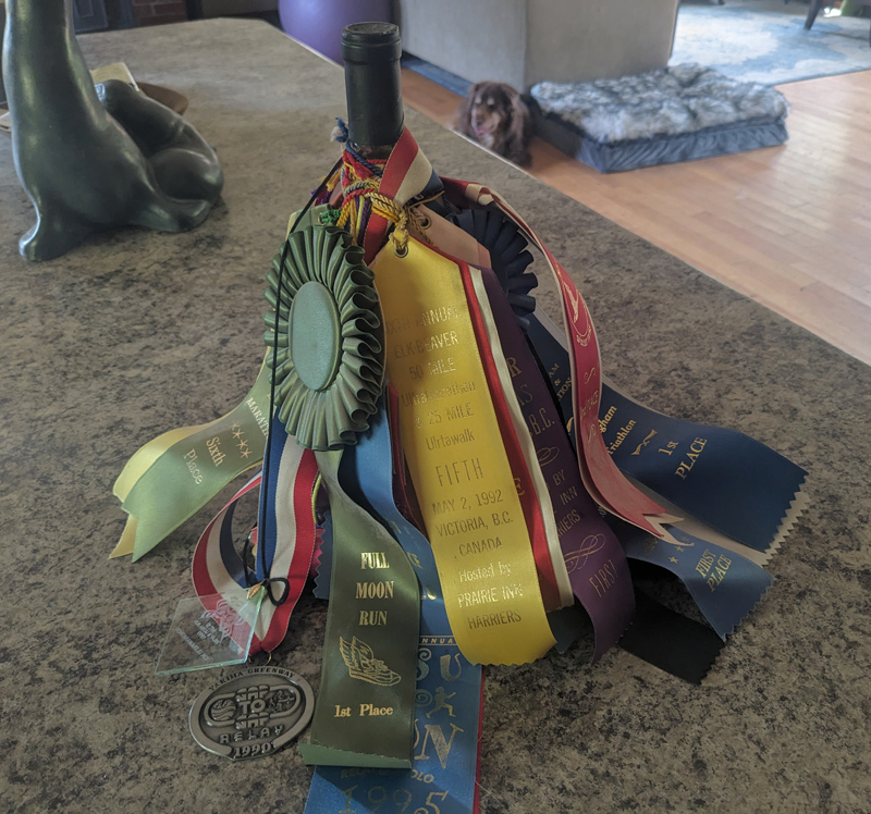 Race Shirts – Wild Sensibility